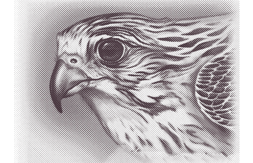 Central Bank of Kuwait: Ten KD Note