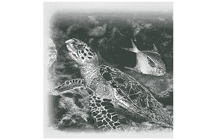 Central Bank of Kuwait: Half KD Note